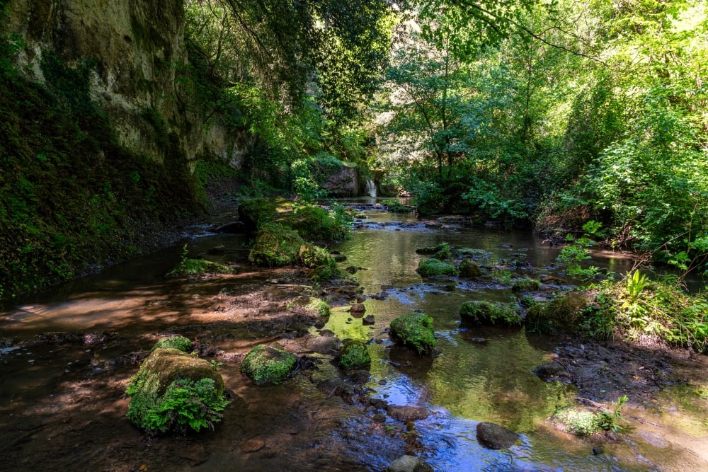 Veio Park Hotel Rome Bookings