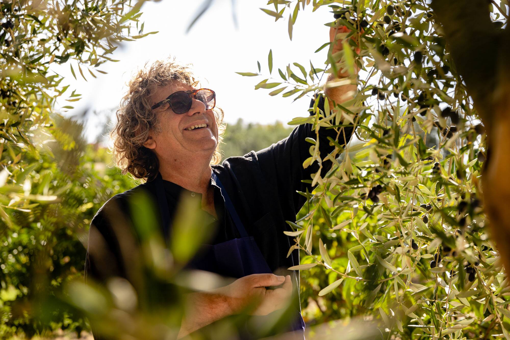 Rocco Forte Hotels | 5-Star Luxury Hotels and Resorts